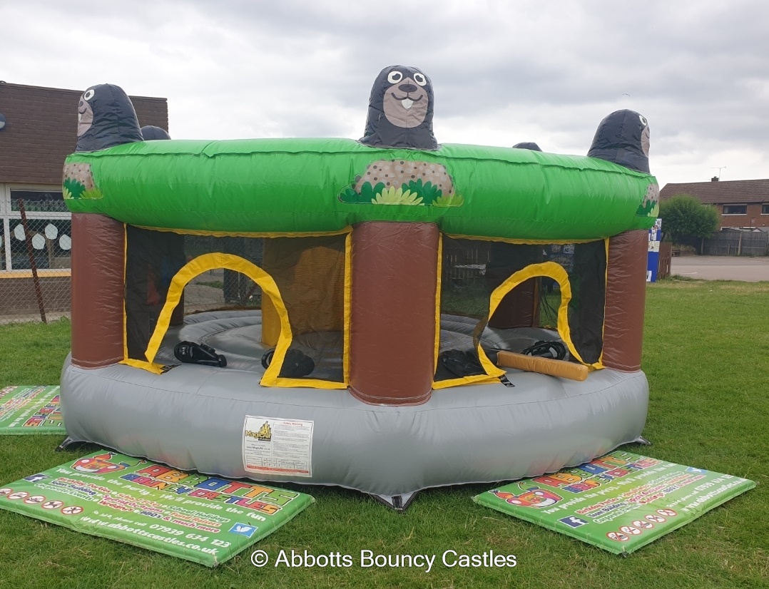 Human Whack A Mole - Bouncy Castle, Disco Dome, Soft Play, Slides, Sumo ...